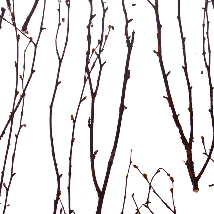 Varia Ecoresin | Naturals | Birch | Materials | 3form